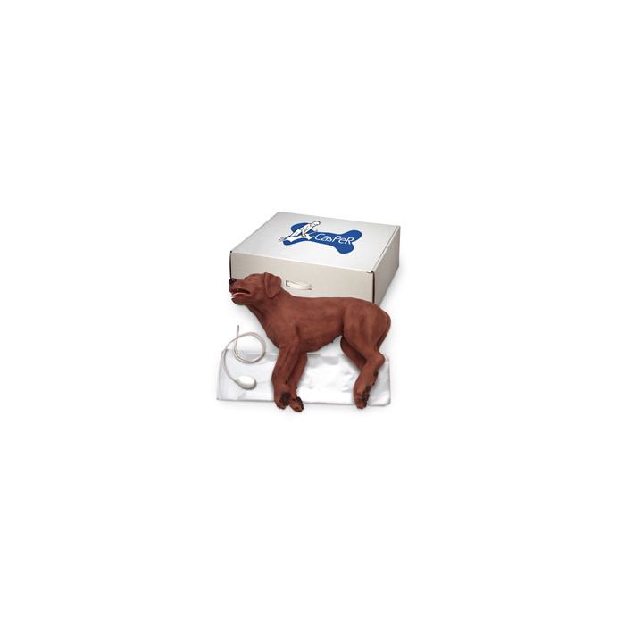 Simulaids Casper The CPR Dog - SAVELIVES