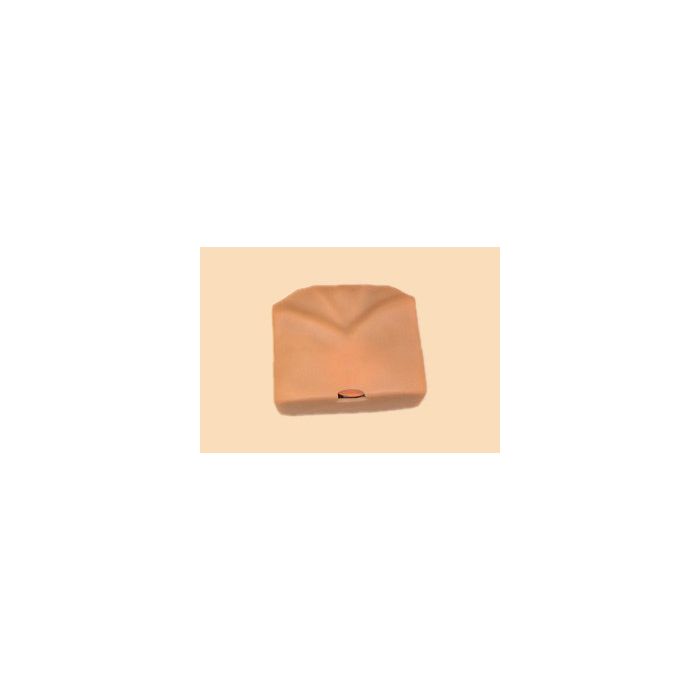 Simulaids FAST 1™ Trainer - SAVELIVES