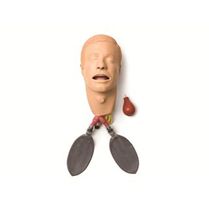 Head Assembly; Adult Male; Intubation w/lungs - SAVELIVES