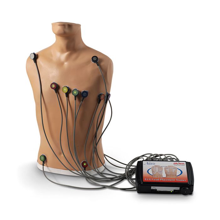 15-Lead ECG Placement Trainer - SAVELIVES