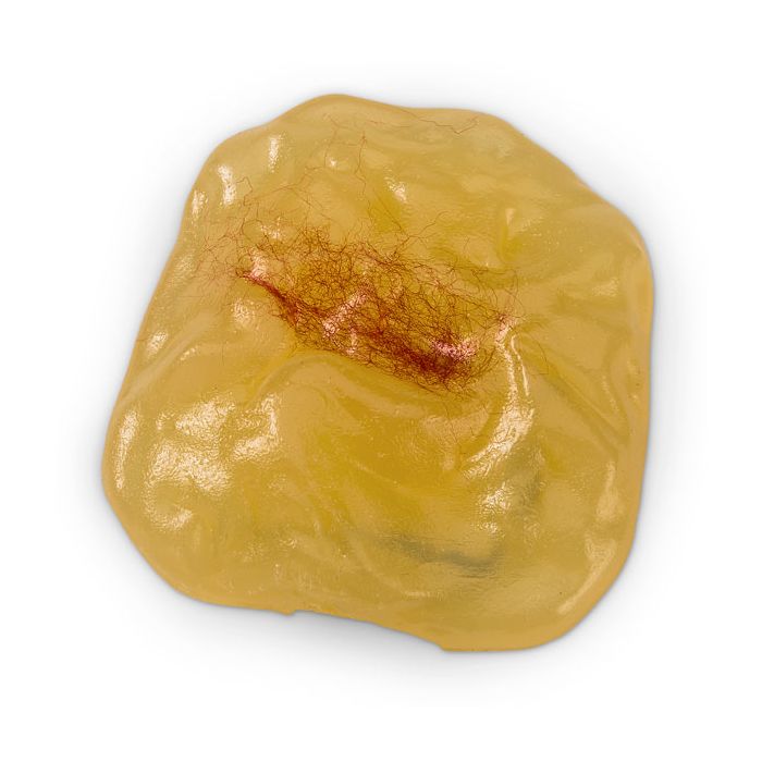 Body Fat Magnets, 1 oz. - SAVELIVES