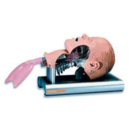 Ambu airway management trainer - SAVELIVES