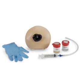 MODEL, NECROTIC STOMA - SAVELIVES